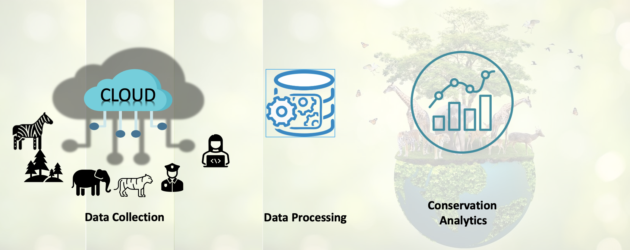Data Analytics in Transforming Wildlife Conservation – Data Radian